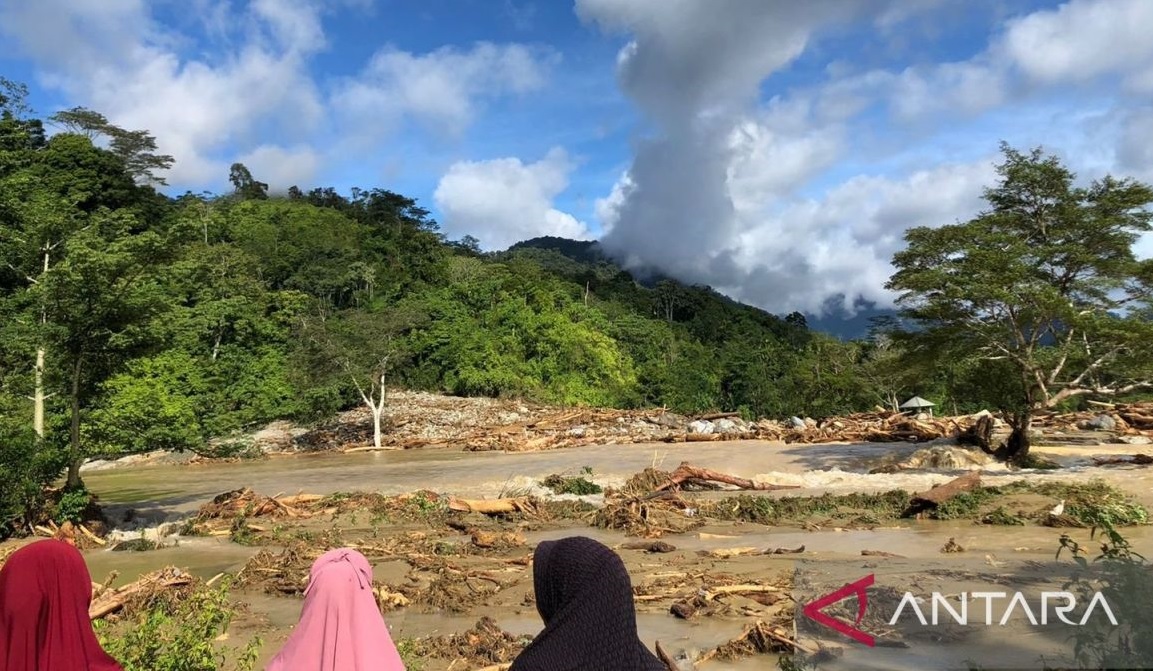 Dinas Pertanian Dan Peternakan Nagan Raya Catat Kerugian Di Sektor ...